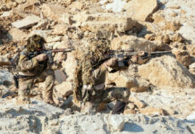 Guns Archives - Prepared Gun Owners